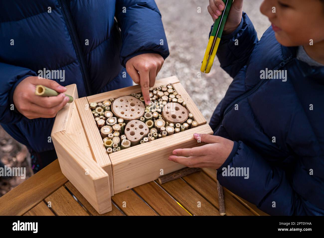 People making wooden insect house. Hands of child making wooden insect ...