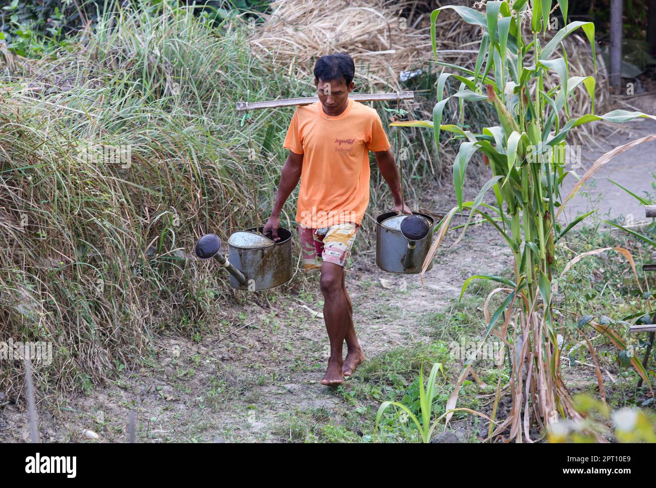 Burmese man carrying water from Irrawaddy River to the village with ...