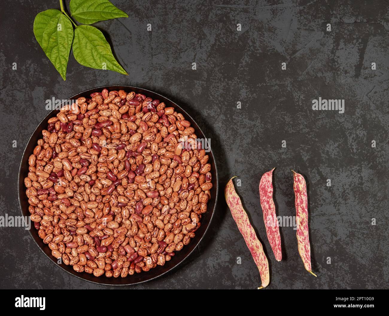 Grains of red beans in a frying pan on a dark background with a place ...