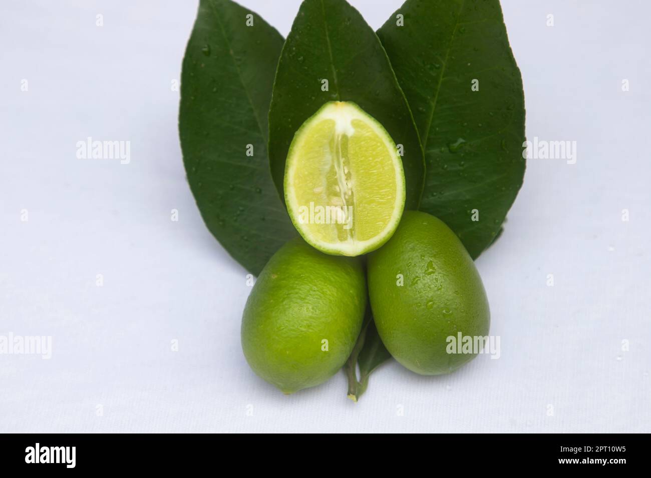 Fresh green lemon slice pieces with leaf. Testy lemon fruits ...