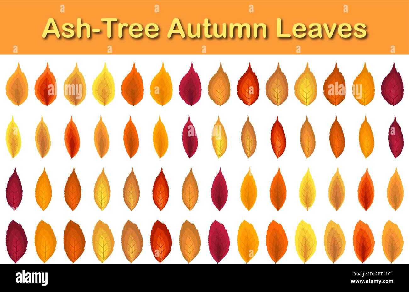 Ash set hi-res stock photography and images - Alamy