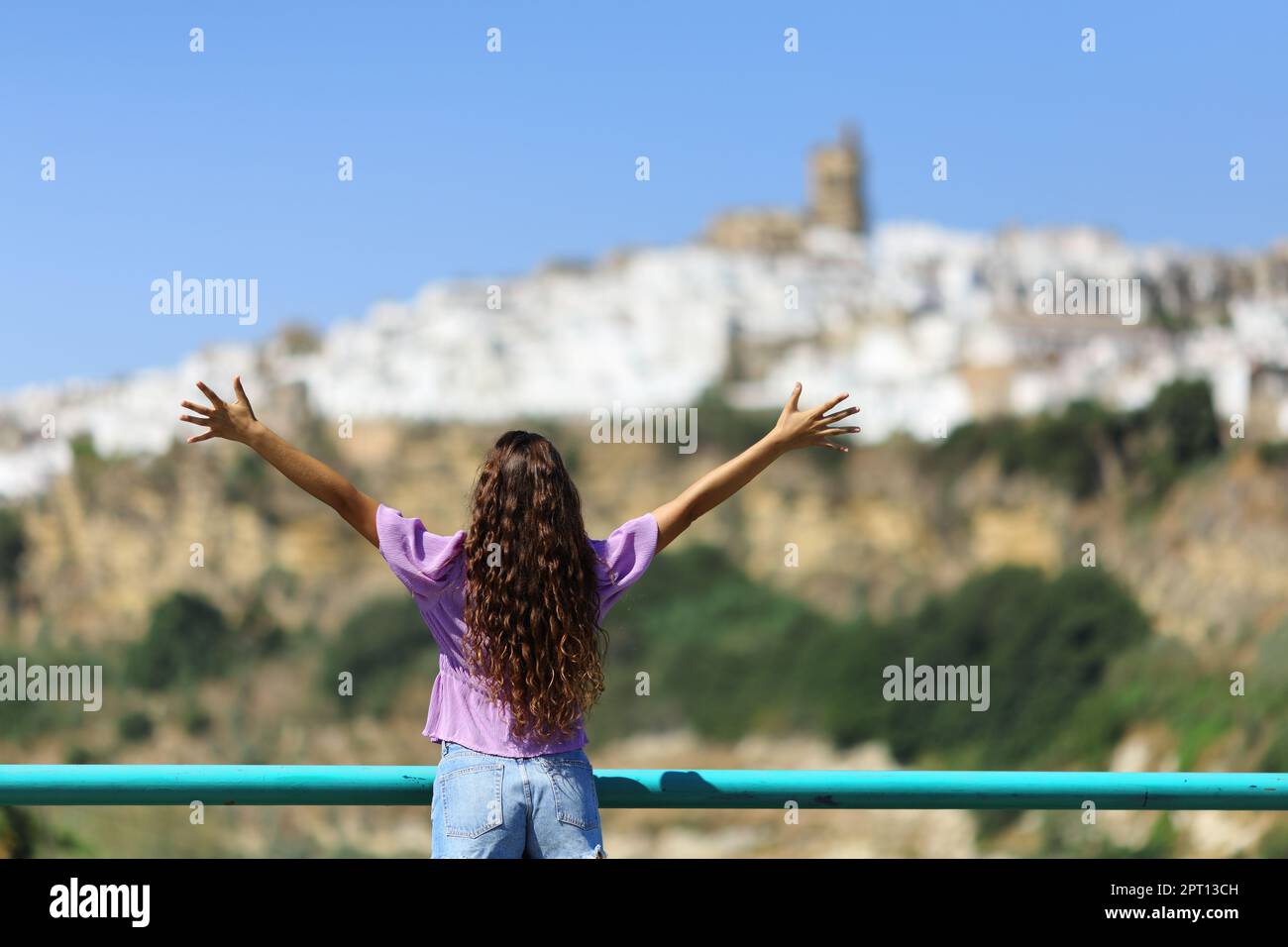Back view portrait of a tourist celebrating vacation looking at town ...