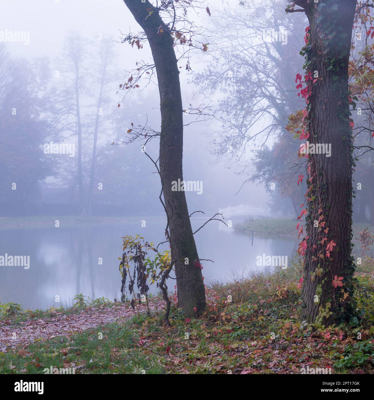 Maksimir park zagreb foggy autumn landscape on a lake Stock Photo - Alamy