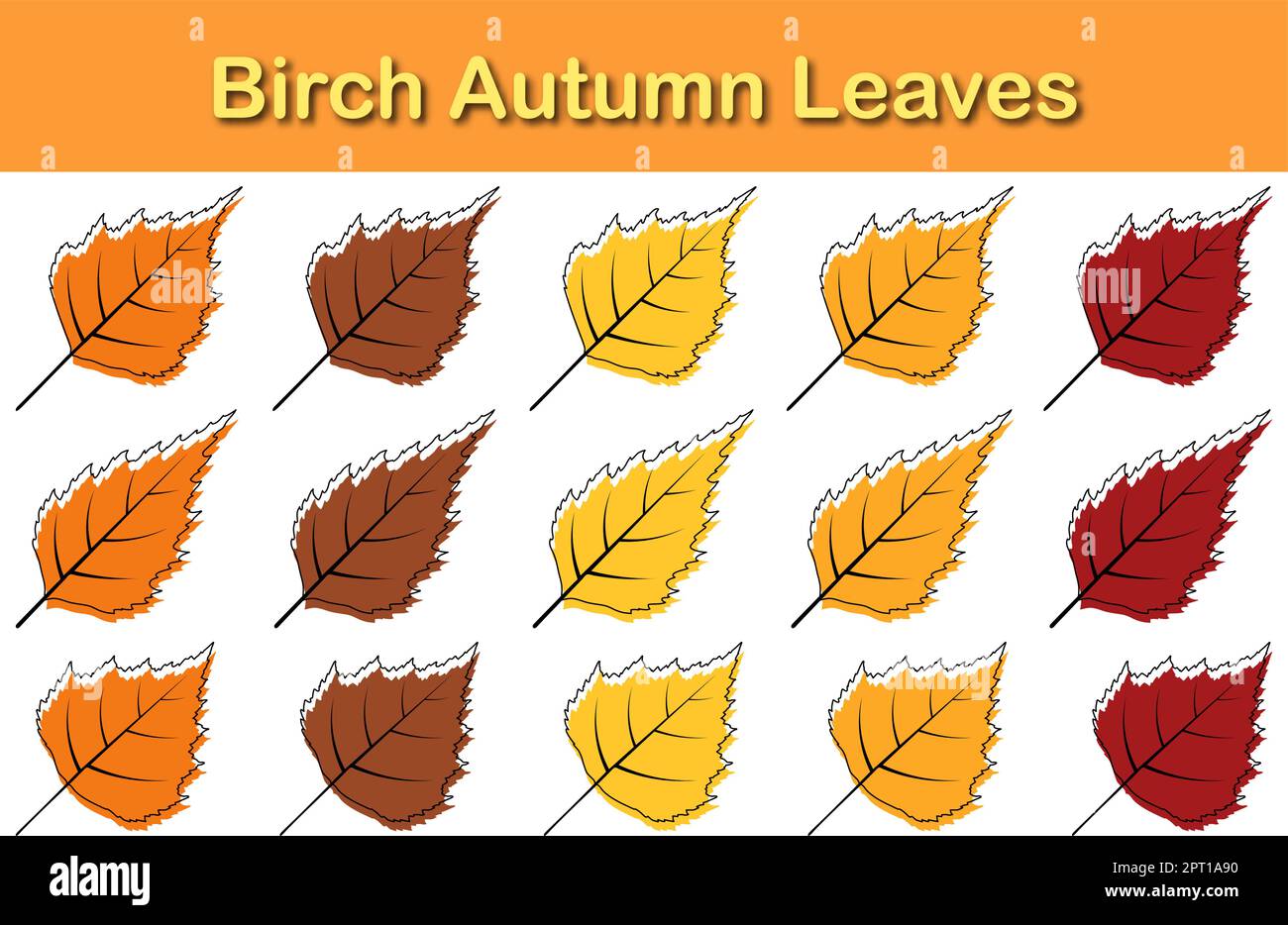 Birch Tree Leaf Set Stock Vector Image & Art - Alamy
