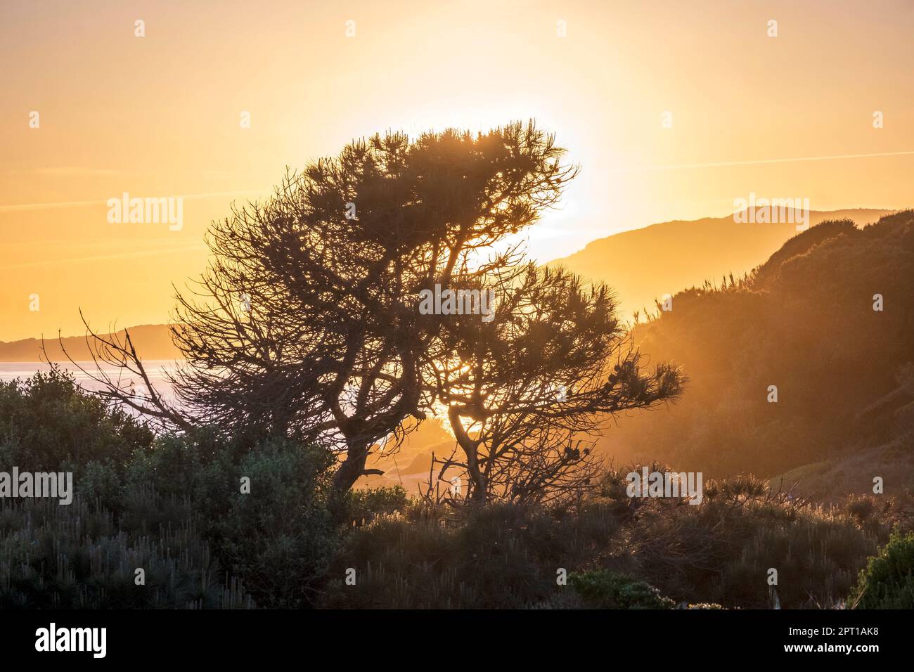 Tarifa, Spain -- sunset at Playa de los Lances along the Strait of ...