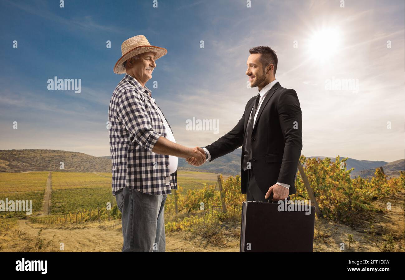 Farmer shaking hands with a businessman at a vineyard field Stock Photo ...