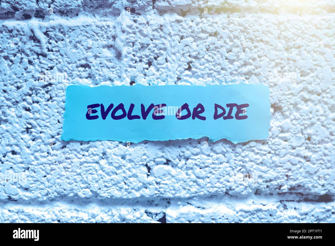 Text caption presenting Evolve Or Die, Business idea Necessity of ...