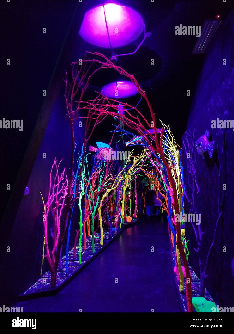 Meow Wolf in Santa Fe, New Mexico is an immersive experience into ...