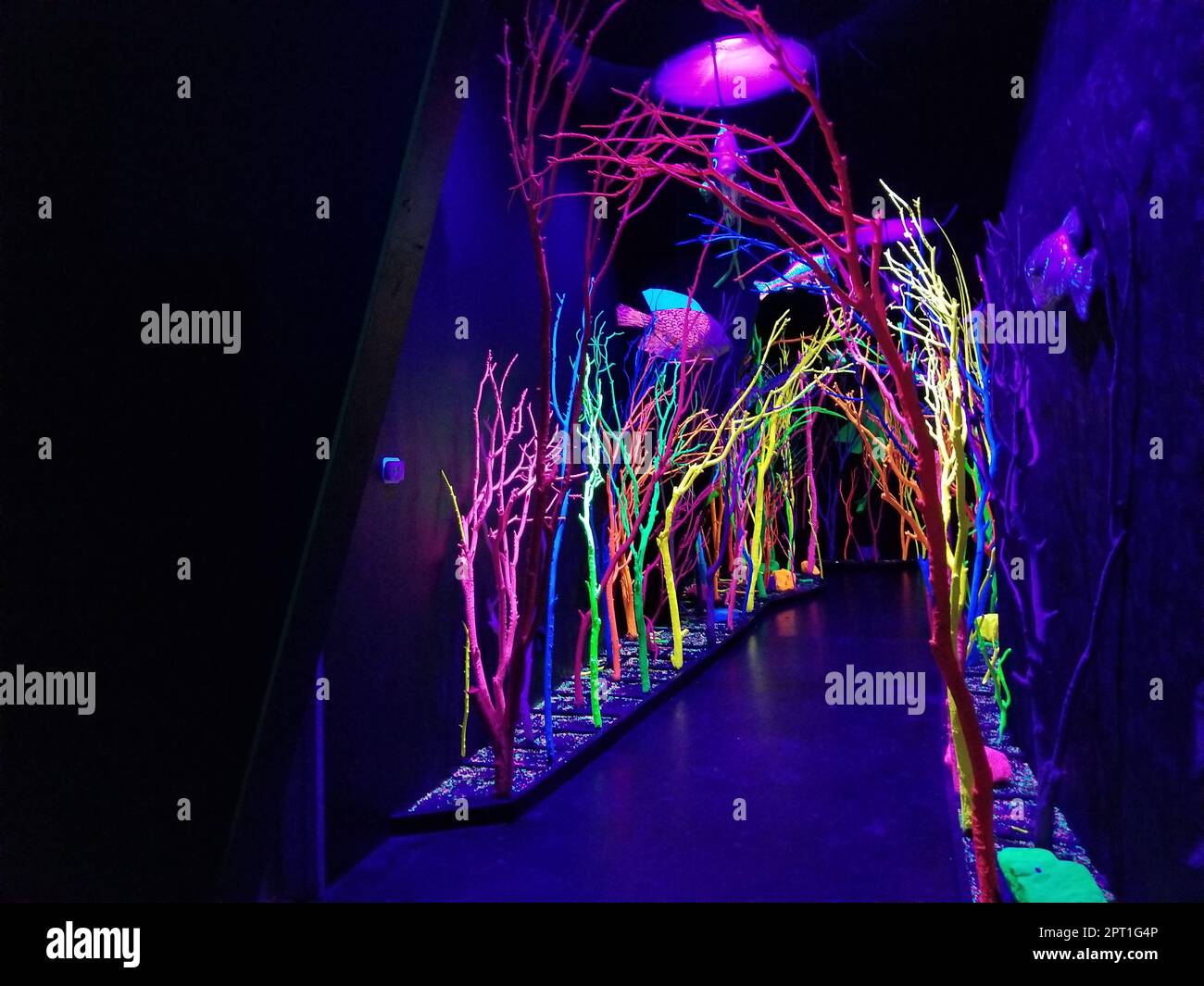 Meow Wolf in Santa Fe, New Mexico is an immersive experience into ...