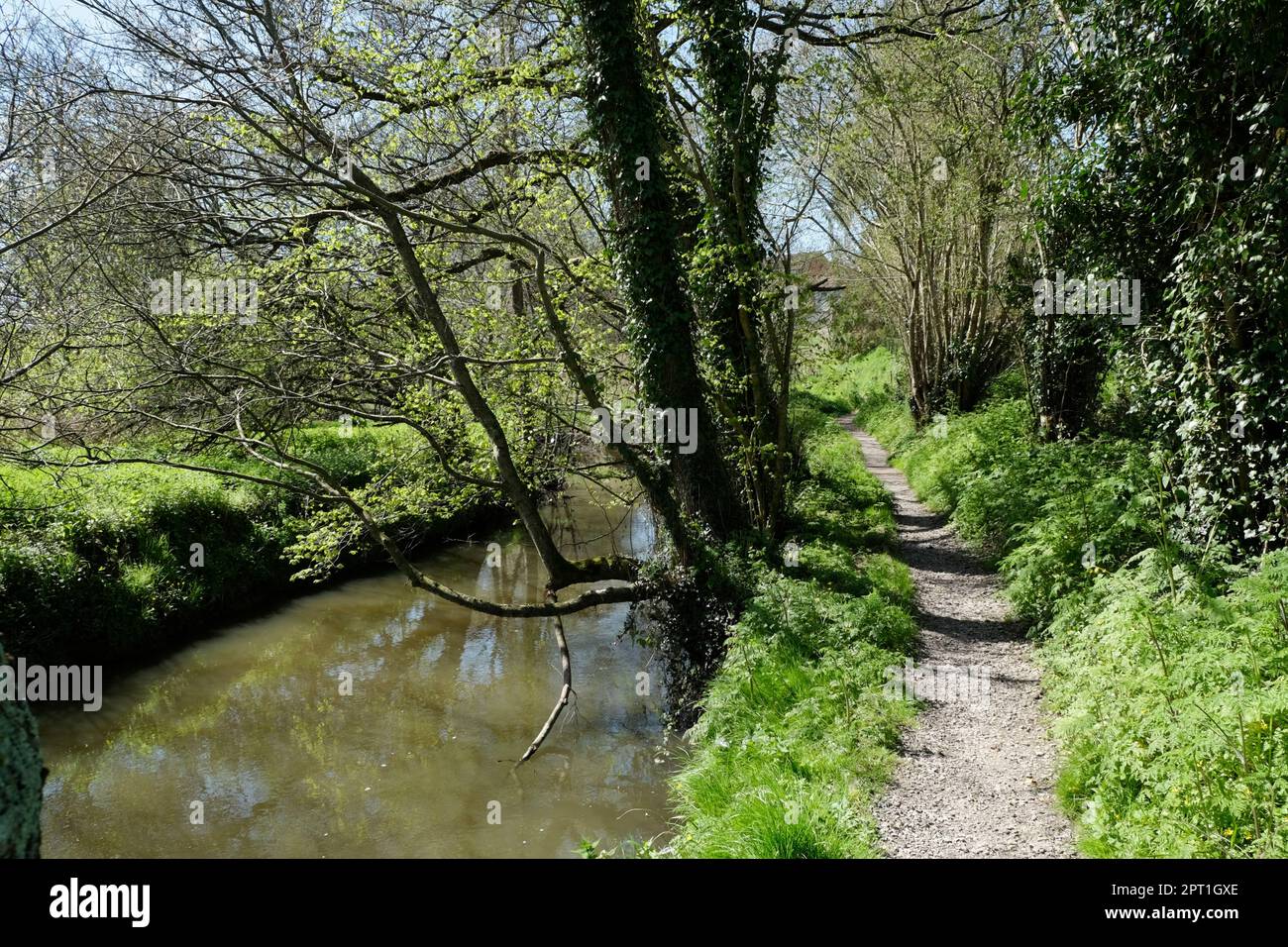 Tisbury a small Wiltshire village. Path Alongside the River Nadder ...