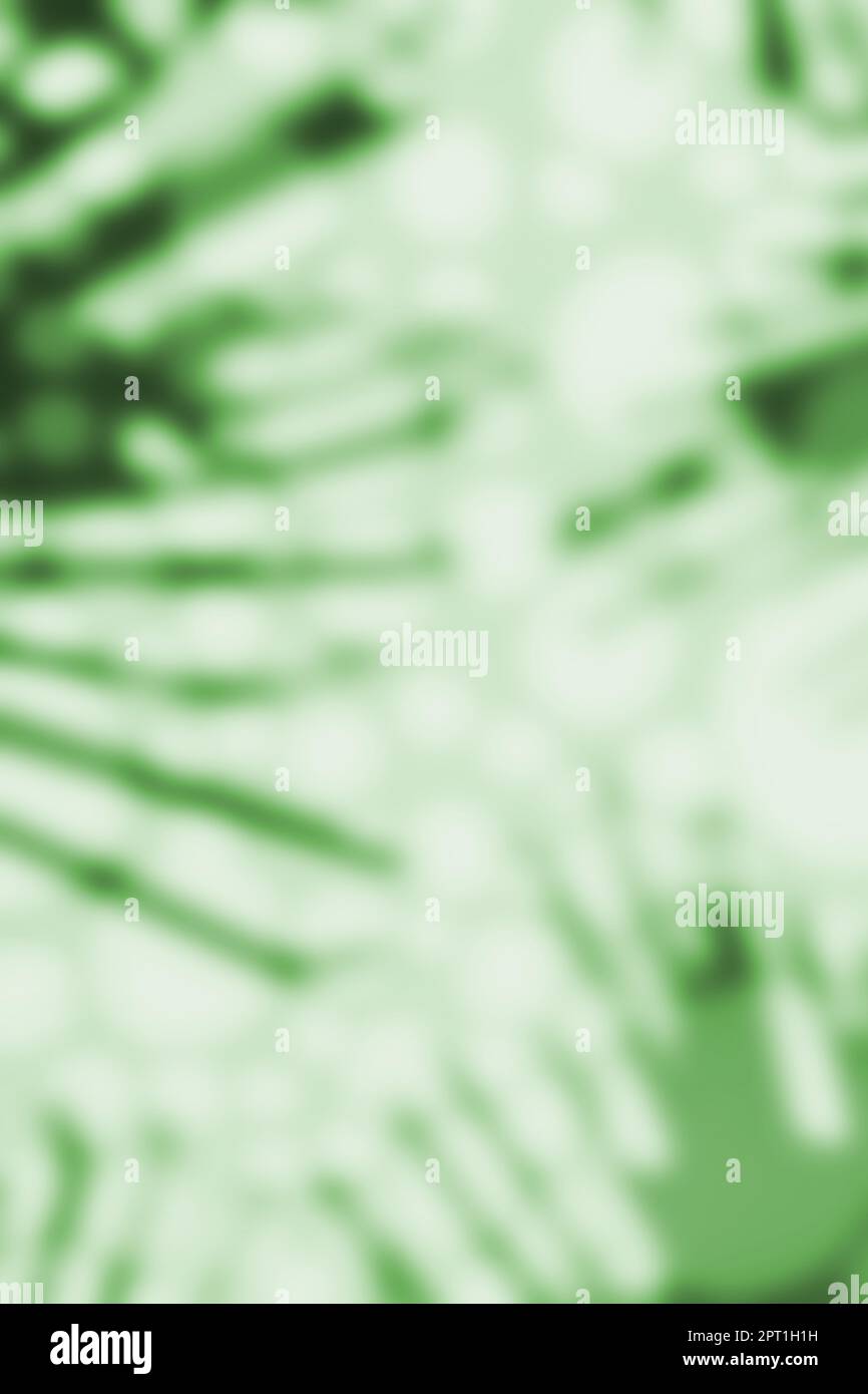 Abstract vertical green background with shade of palm leaves Stock ...