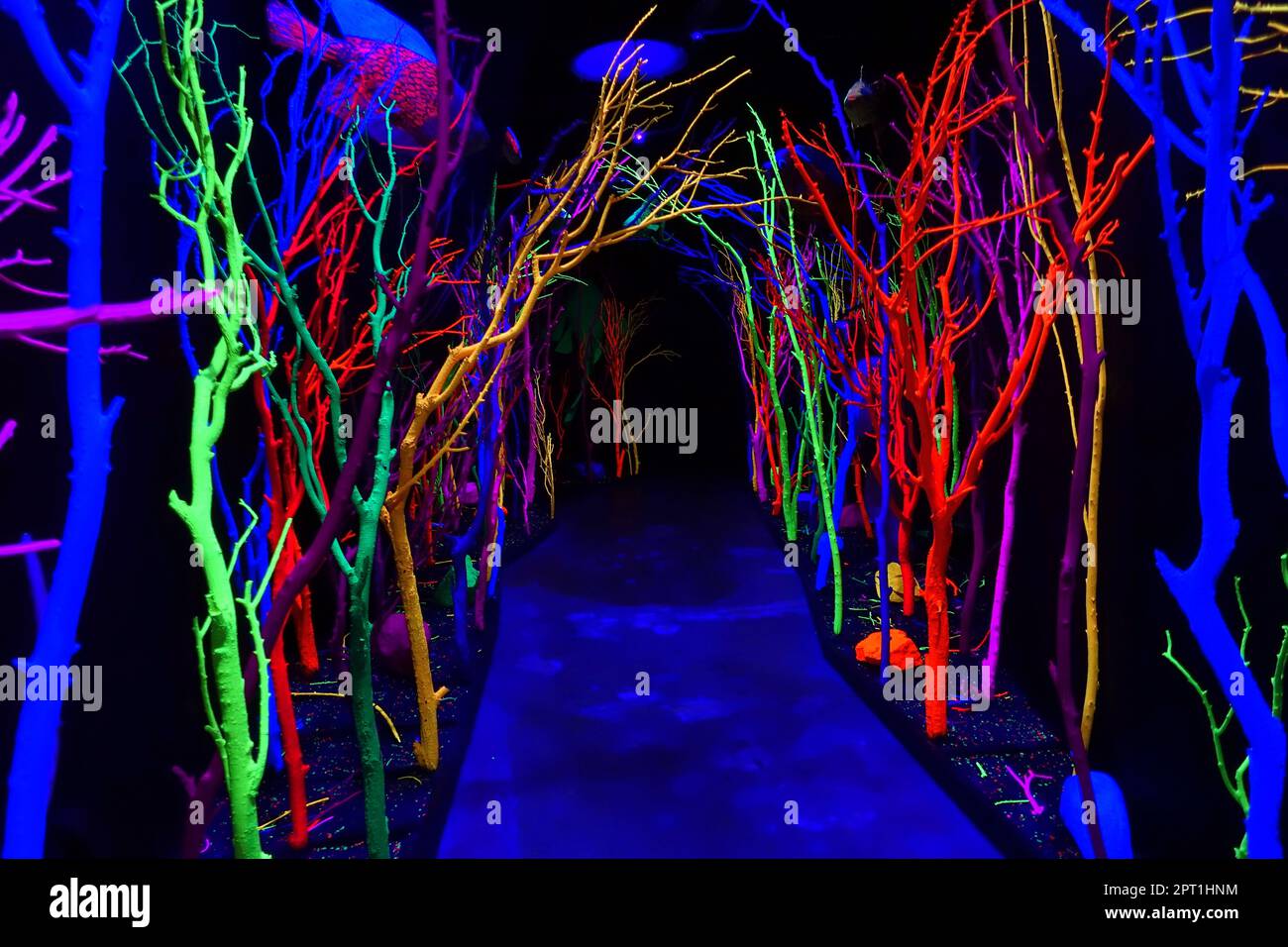 Meow Wolf in Santa Fe, New Mexico is an immersive experience into ...