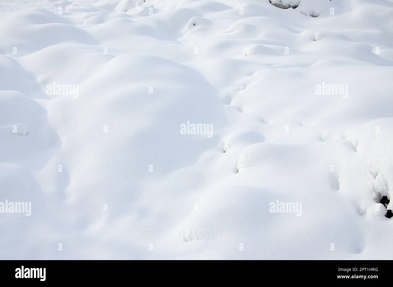 Glistening snow hi-res stock photography and images - Alamy