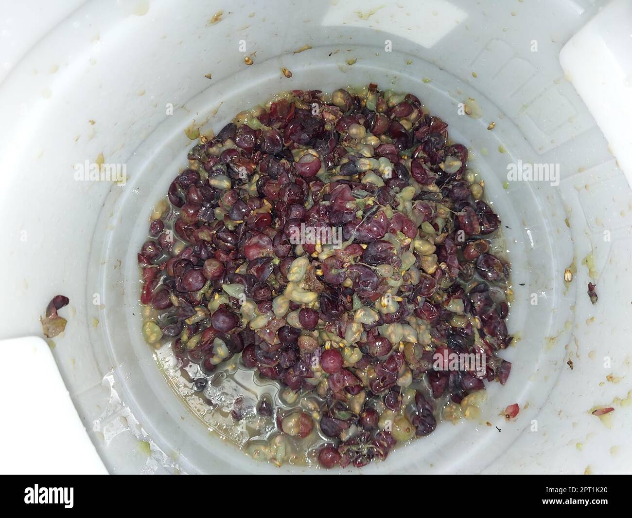 Production grape pulp making homemade hi-res stock photography and ...