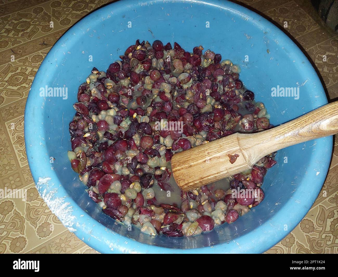 Production grape pulp making homemade hi-res stock photography and ...