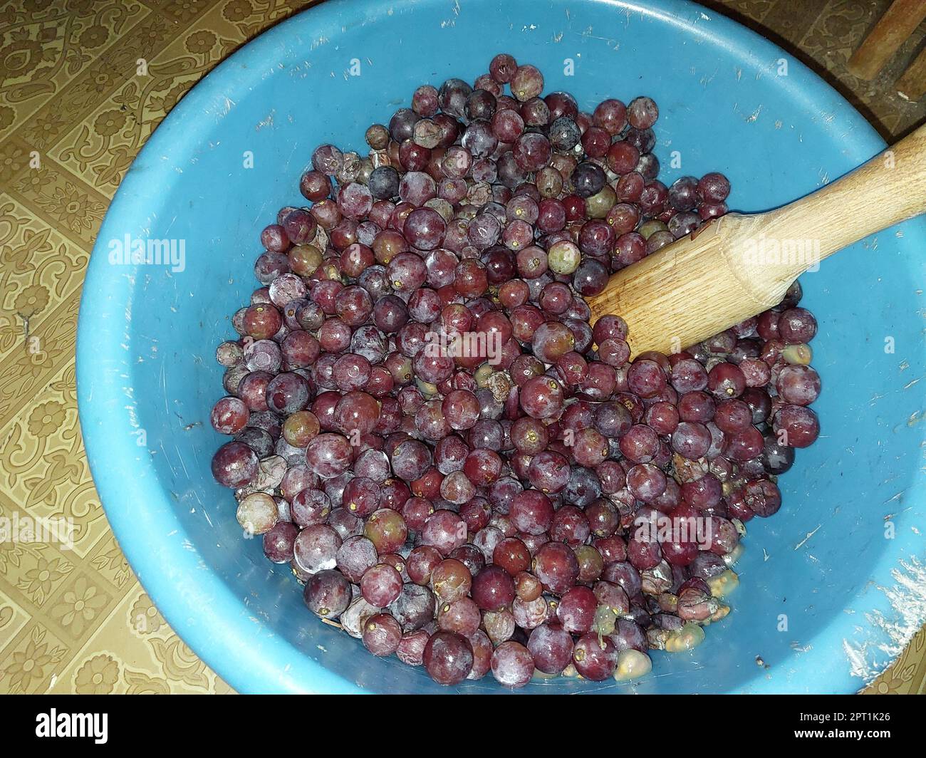 Production grape pulp making homemade hi-res stock photography and ...