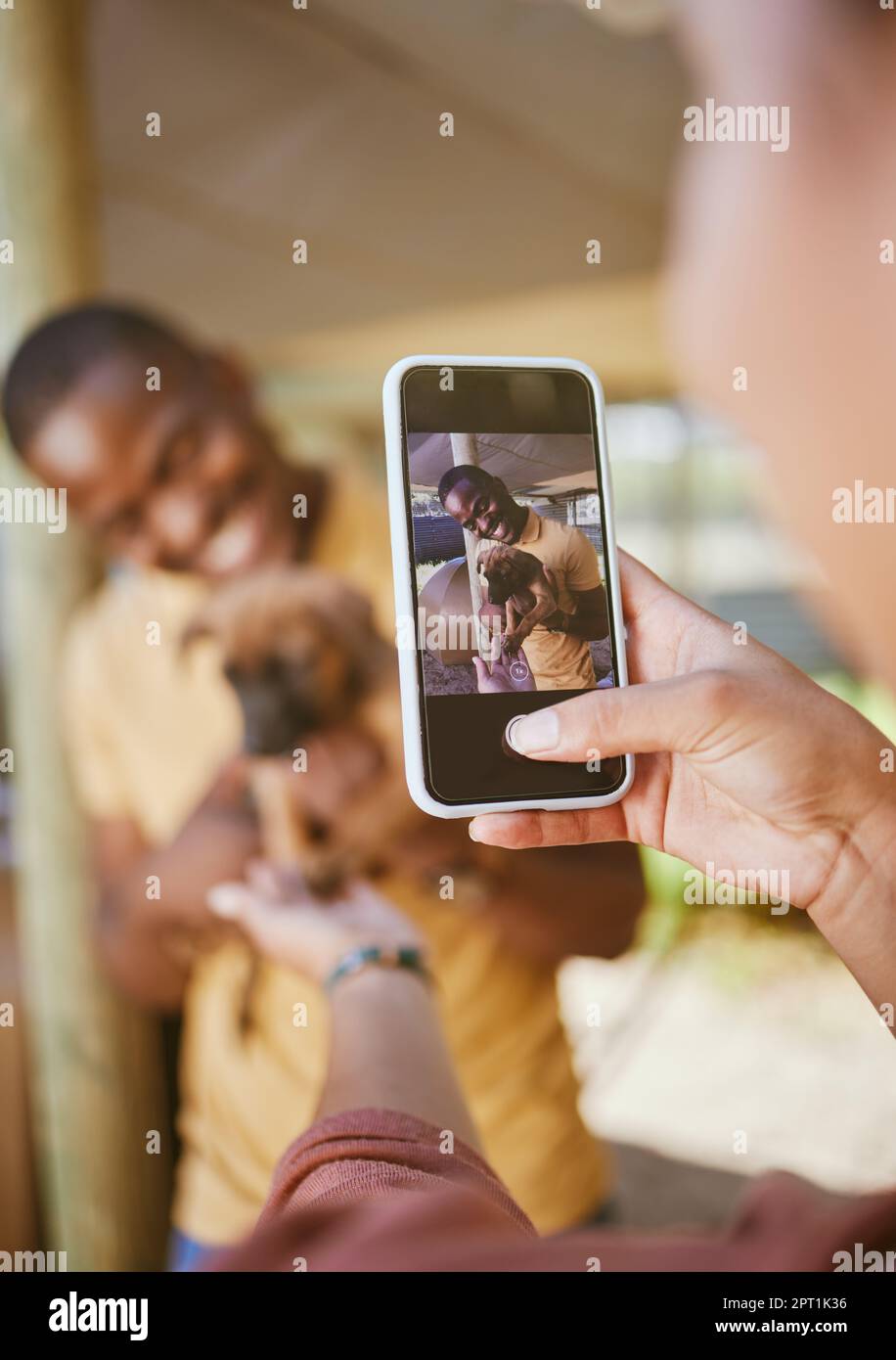 Phone picture, dog and woman hand showing man and new pet outdoor with ...