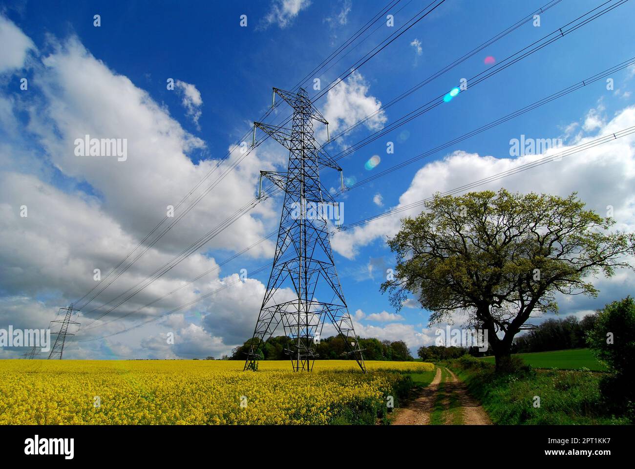 Trees and pylons hi-res stock photography and images - Alamy