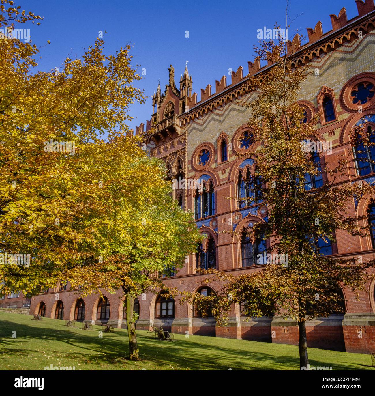 Victorian carpet hi-res stock photography and images - Alamy