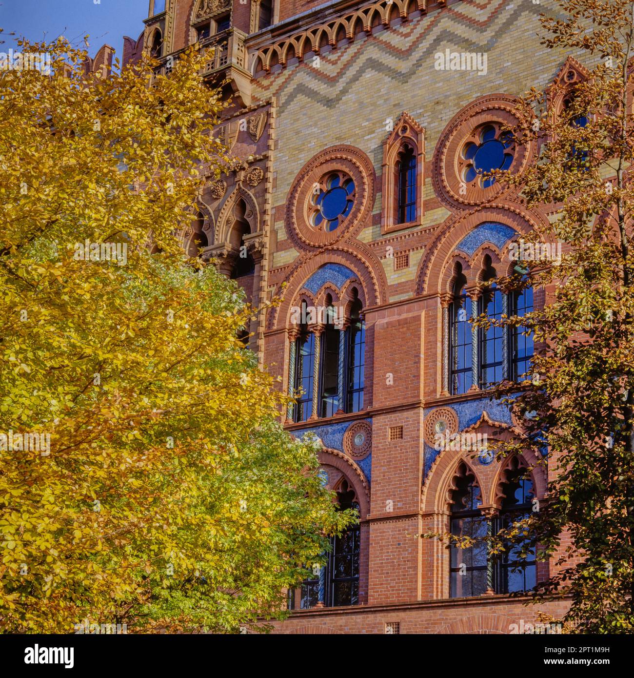 Victorian carpet hi-res stock photography and images - Alamy