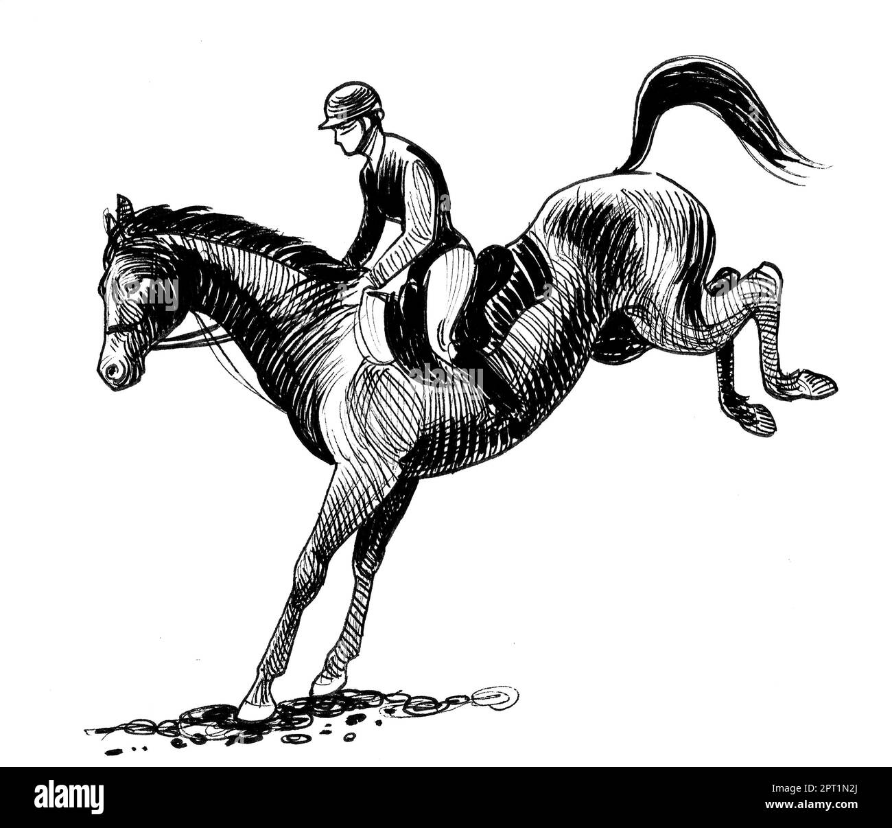 Jockey riding a horse on dressage competition. Hand-drawn ink on paper ...