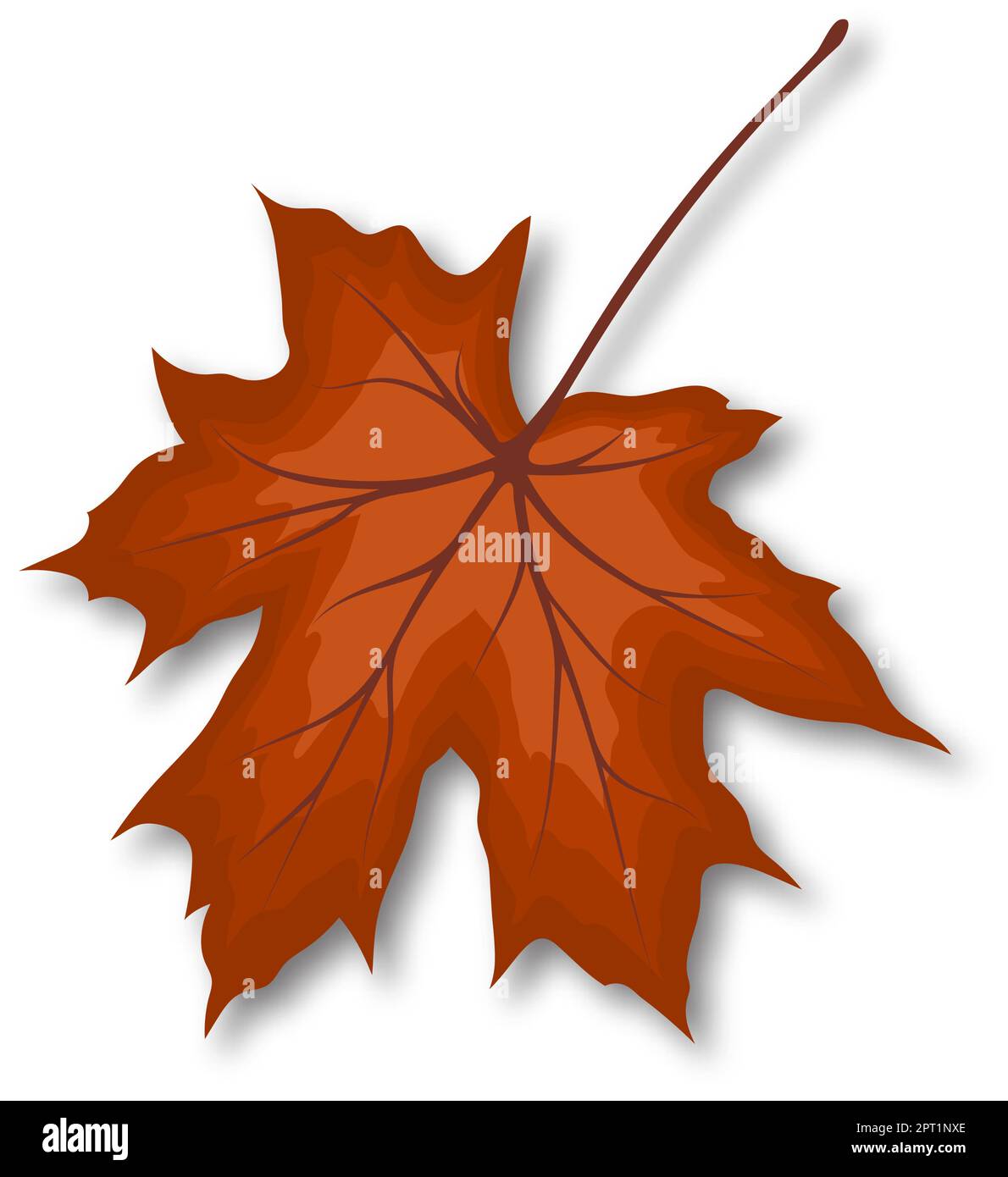 Maple Fall Leaf Stock Vector Image & Art - Alamy