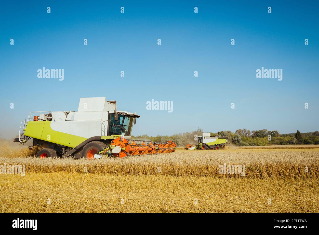 Combine harvester on the wheat field Stock Photo - Alamy