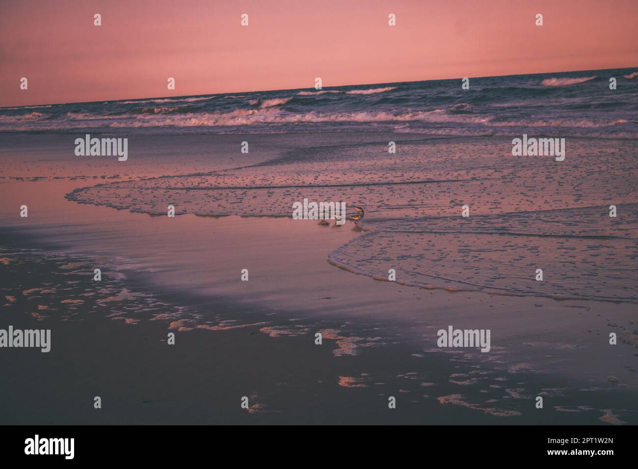 Brigantine beach nj hi-res stock photography and images - Alamy
