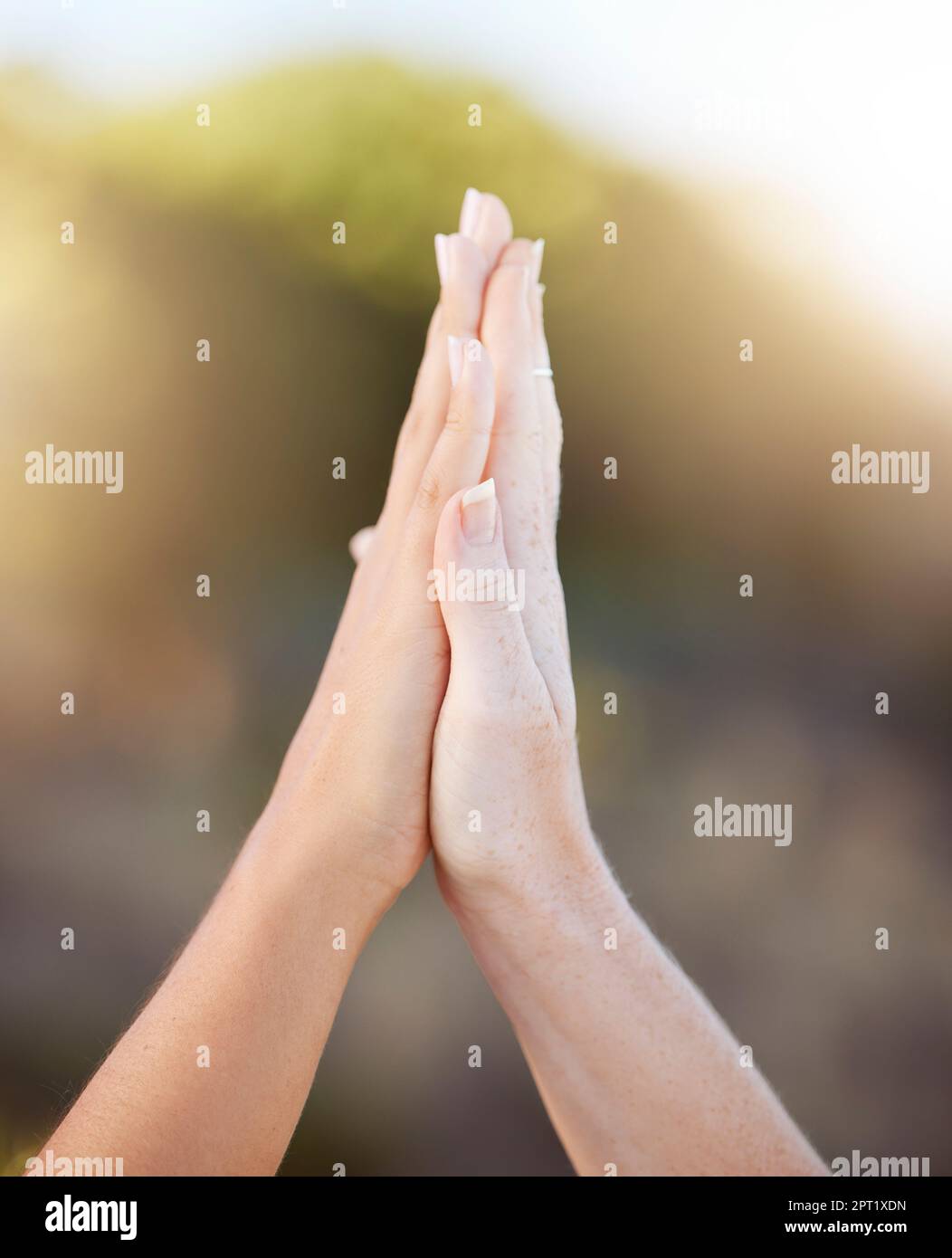 Women high five for support, teamwork and solidarity with bokeh outdoor ...