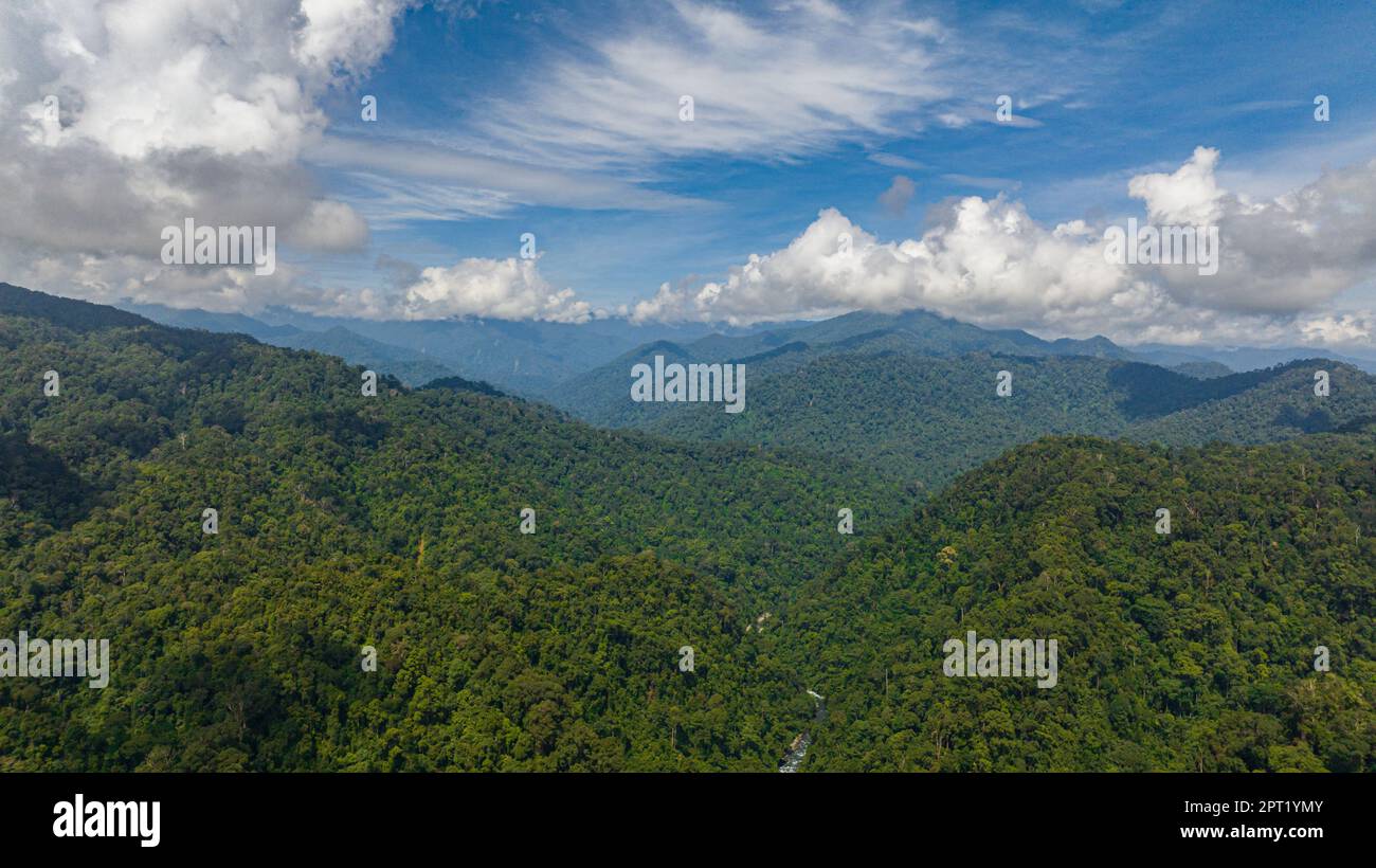 Mountains covered rainforest, trees and blue sky with clouds. Sumatra ...