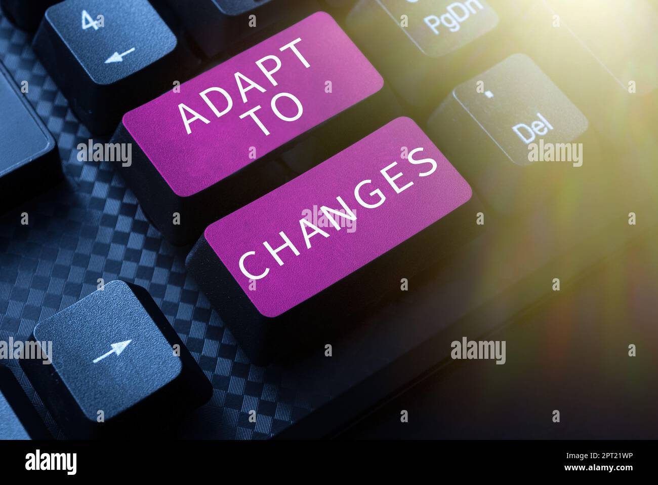 Conceptual display Adapt To Changes, Business showcase Embrace new ...