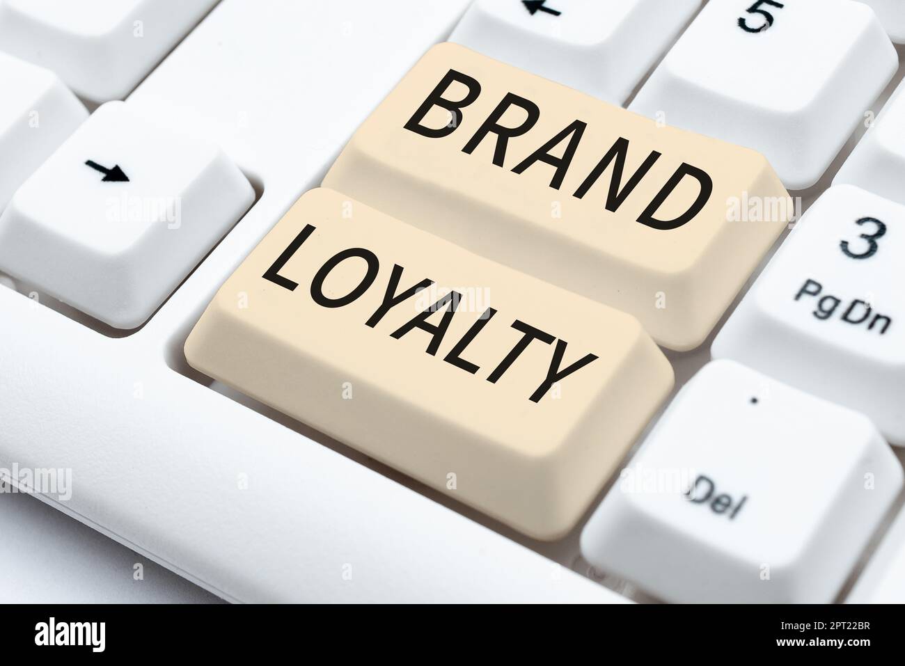 Writing displaying text Brand Loyalty, Business showcase positive ... Writing displaying text Brand Loyalty, Business showcase positive ...