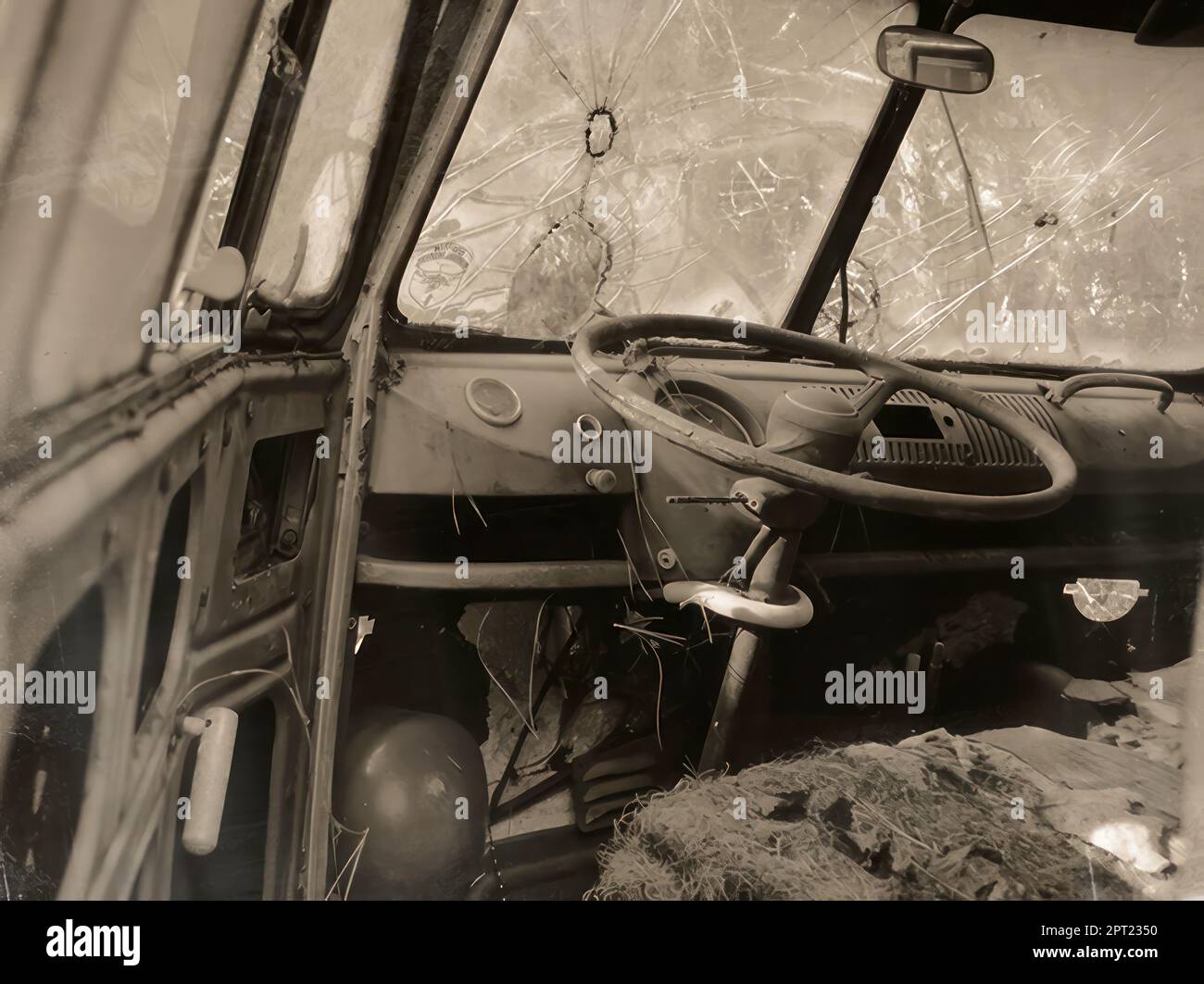 Old Bug in the Woods Stock Photo - Alamy