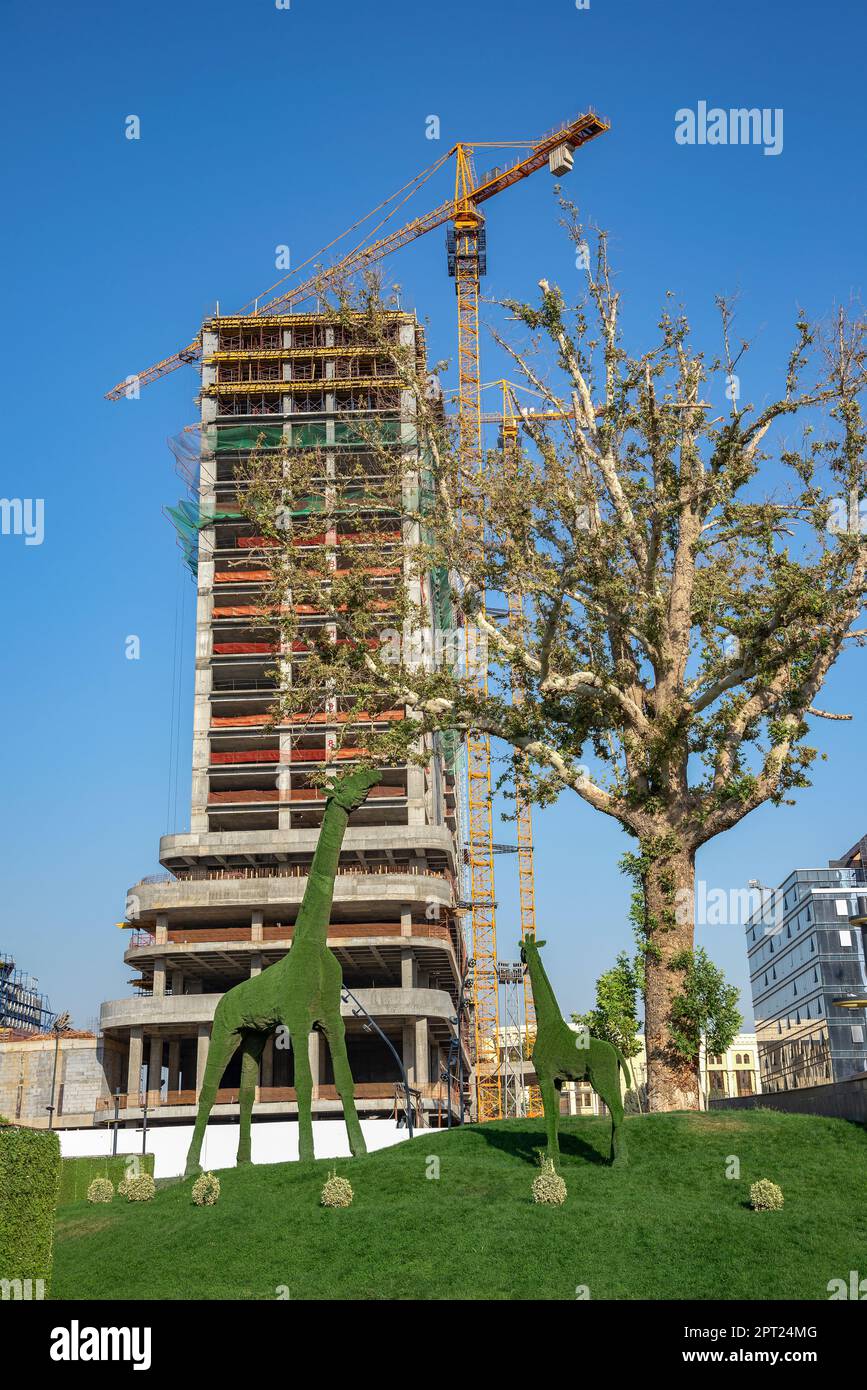 Giraffe by building hi-res stock photography and images - Alamy