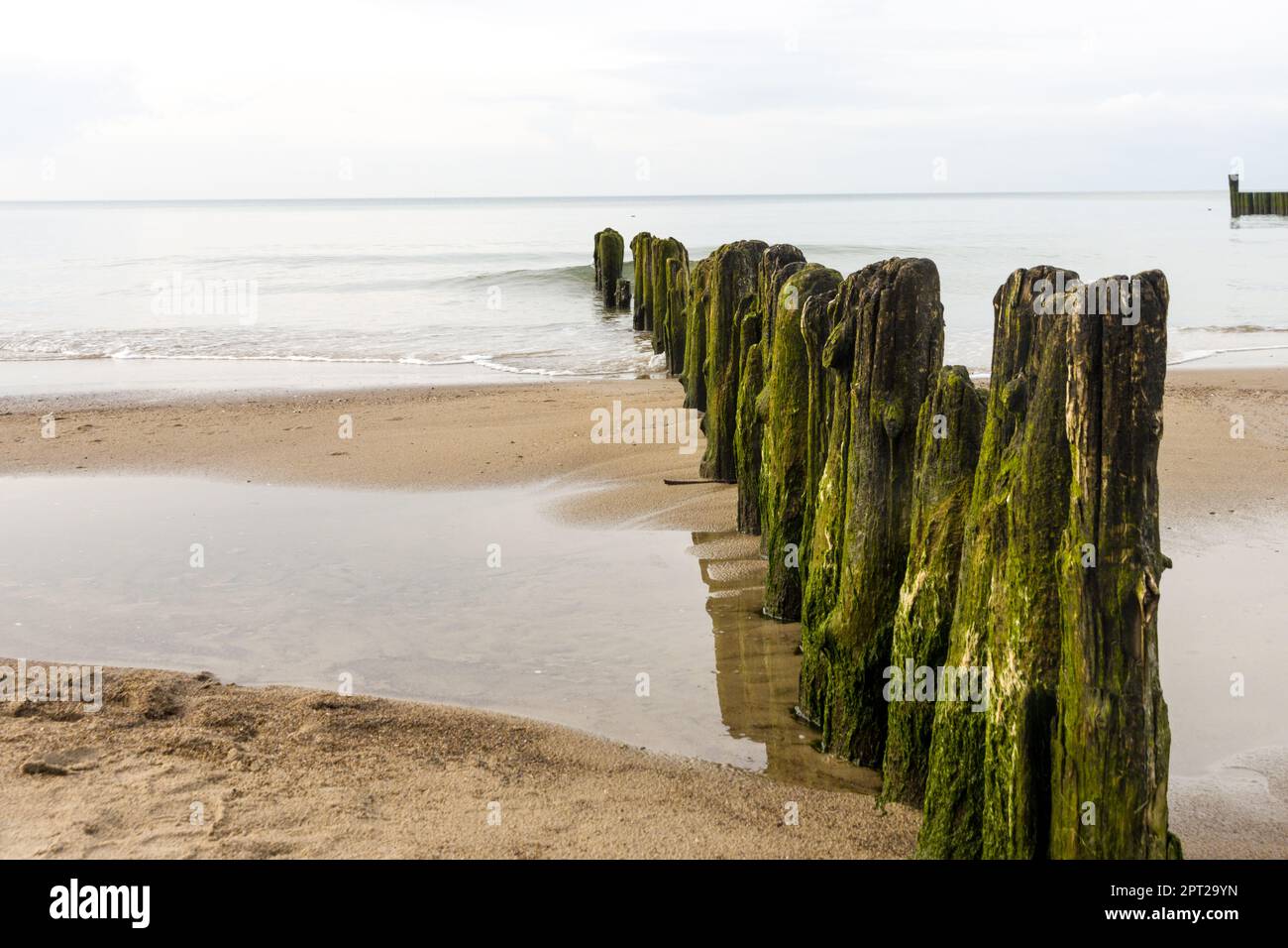 Row of wooden piles hi-res stock photography and images - Alamy