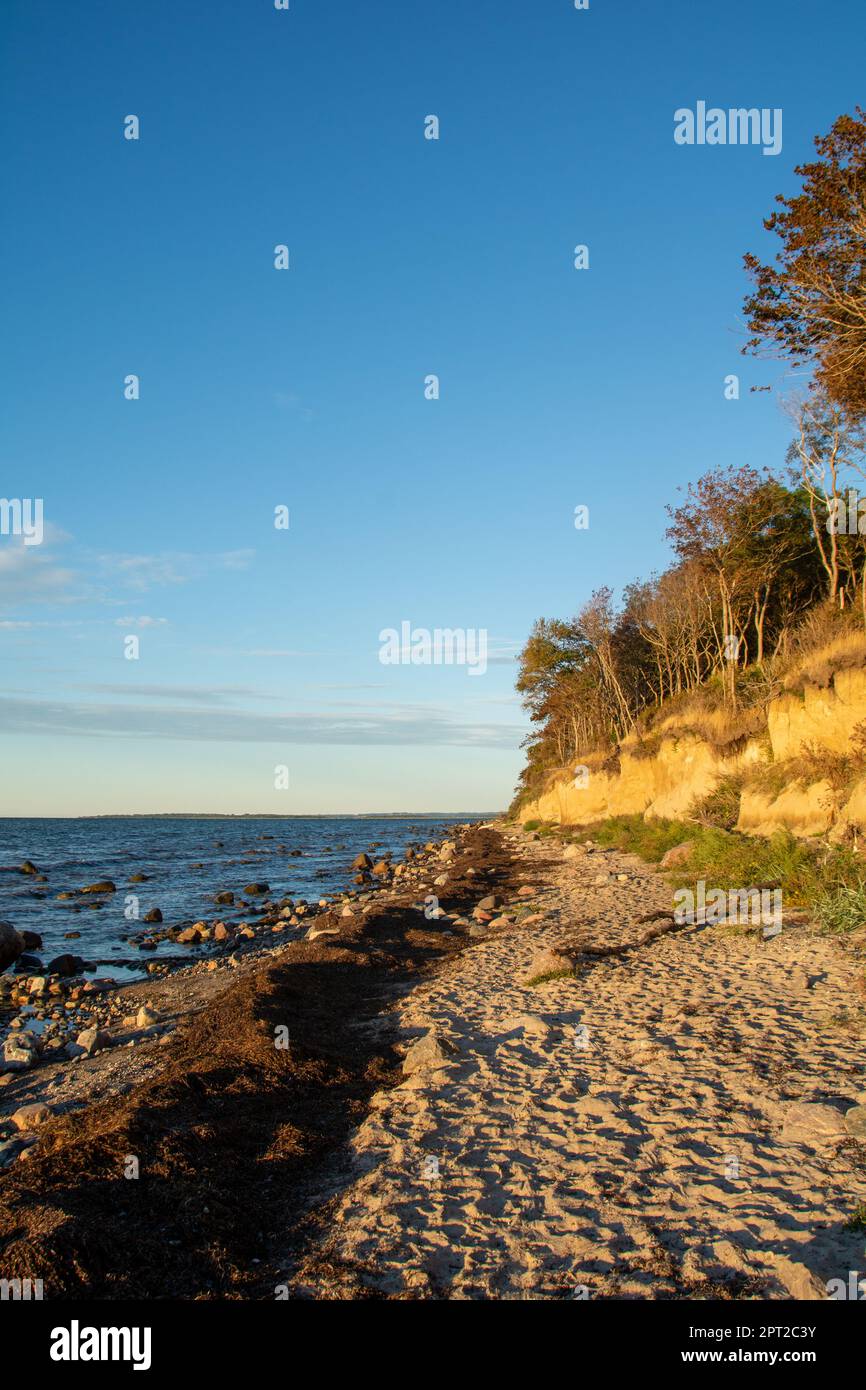 Steep coast at the black bush with sea and blue sky, on the island of ...
