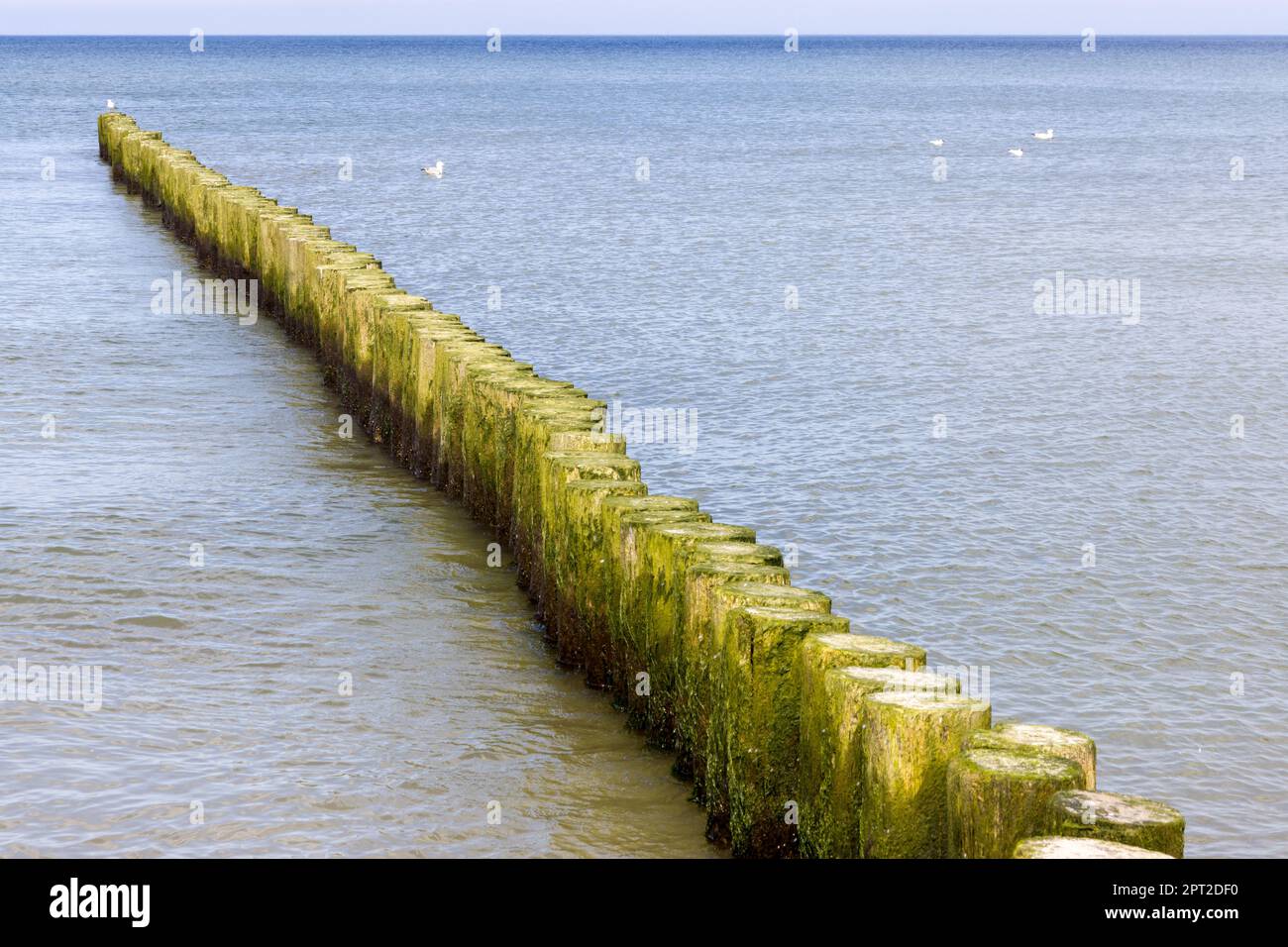 Row of wooden piles hi-res stock photography and images - Alamy