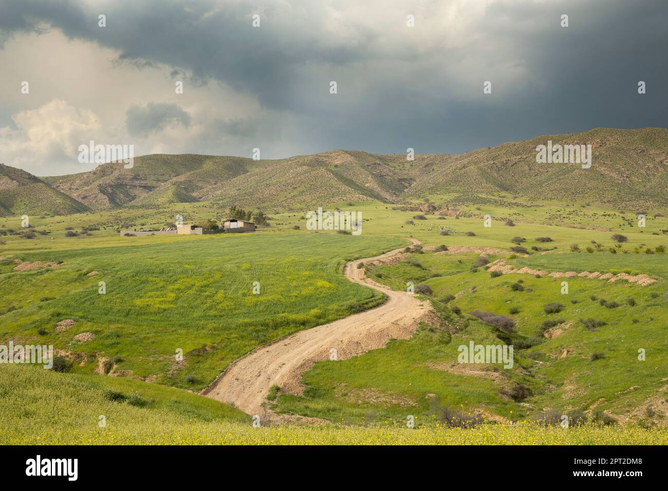 Spring around Shiraz Stock Photo - Alamy