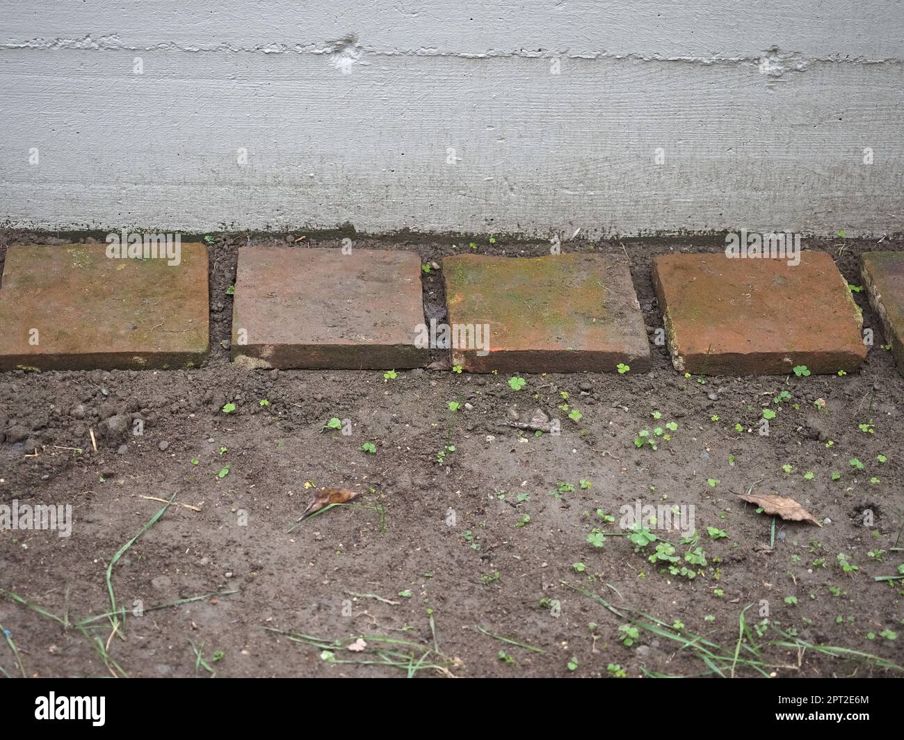 brick tiles pathway in the garden by a wall Stock Photo - Alamy