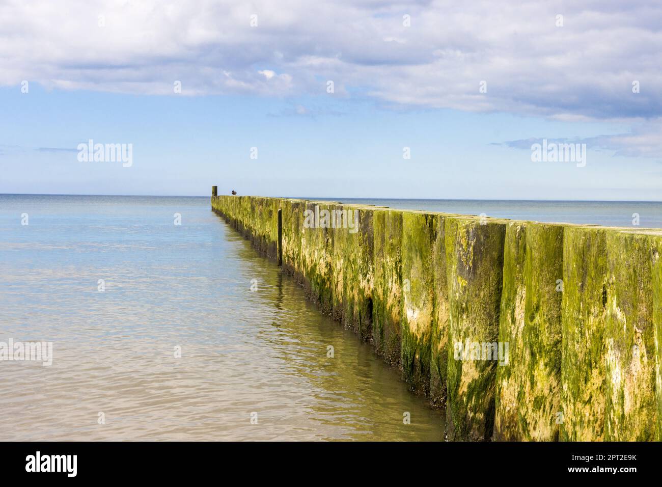 Row of wooden piles hi-res stock photography and images - Alamy