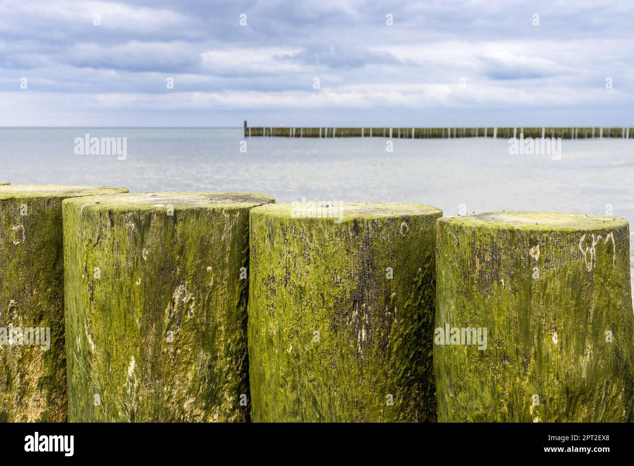 Row of wooden piles hi-res stock photography and images - Alamy