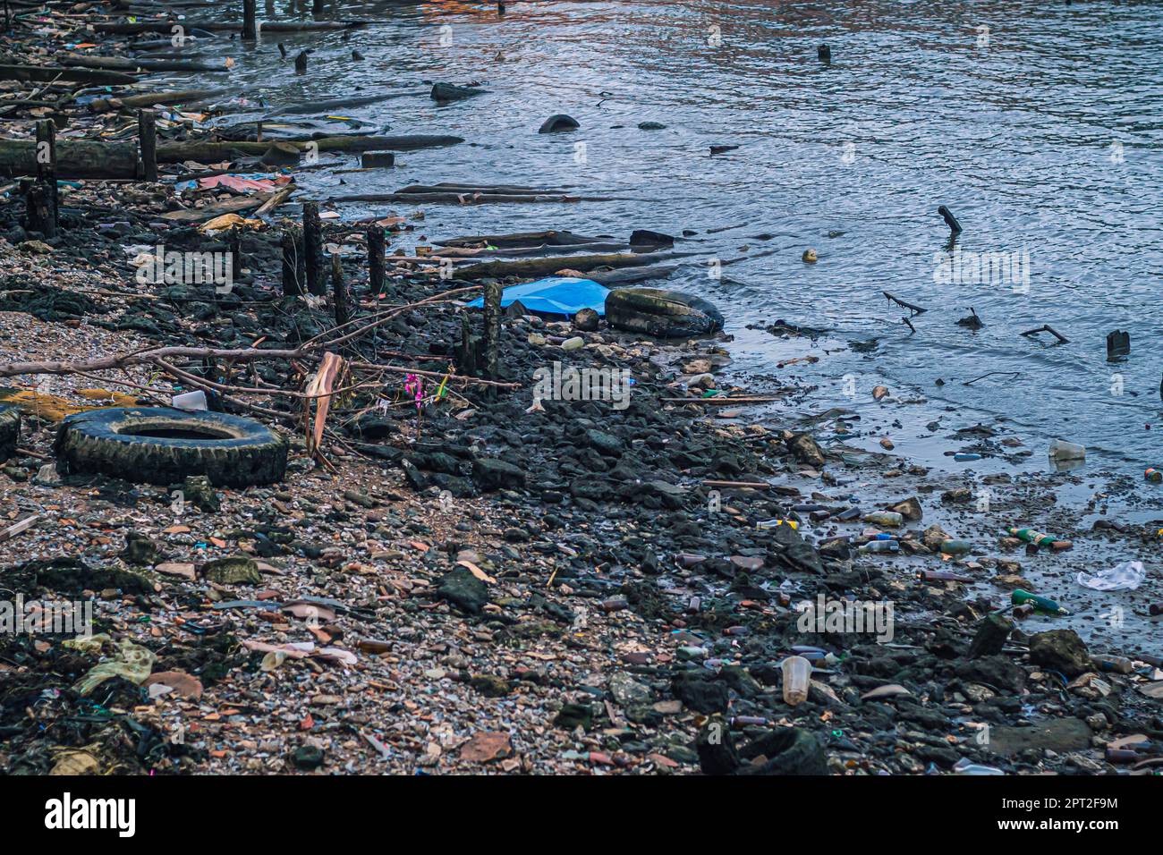 Ocean plastic a planetary crisis. Garbage on beach coat is global ...