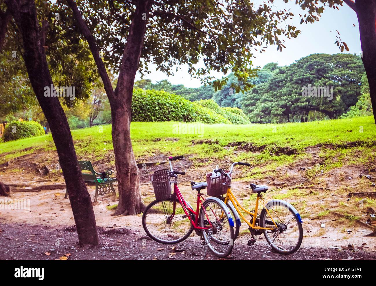 Classic Vintage Retro Bicycle Stop in public Park at Bangkok Stock ...