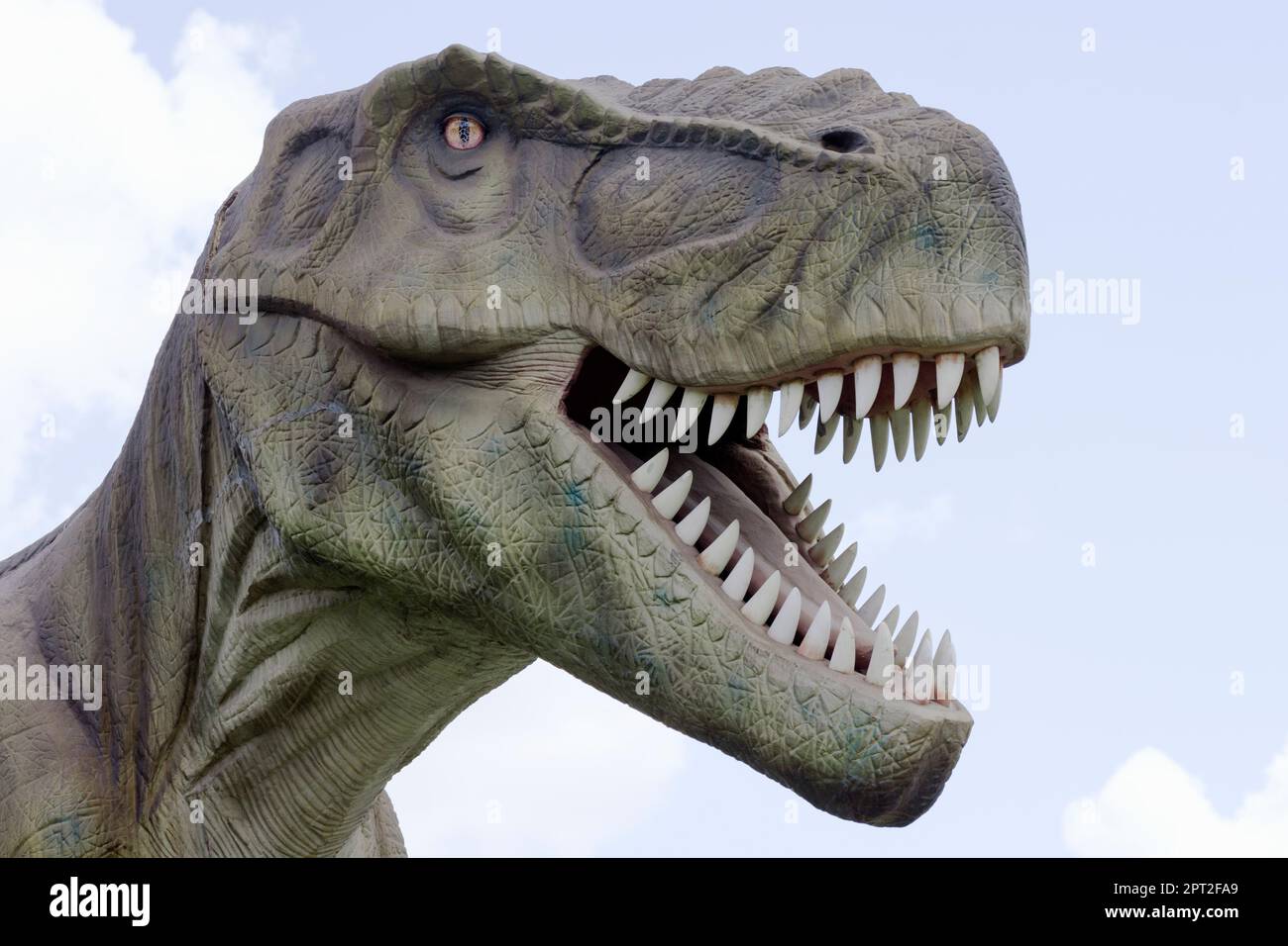 Animal portrait of tyrannosaurus rex dinosaur with opened mouth and ...