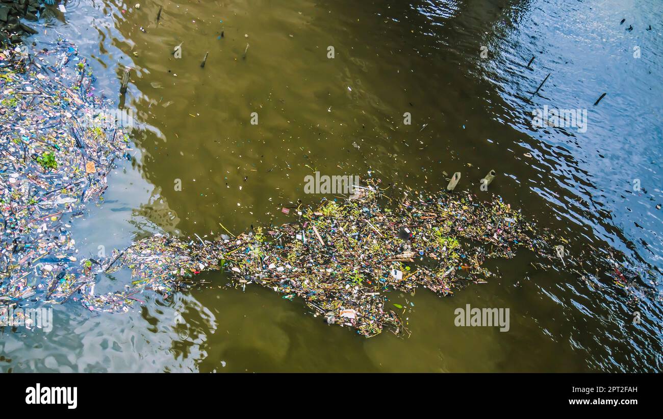 water garbage Polluted water Fishes dirty river with trash and plastic ...