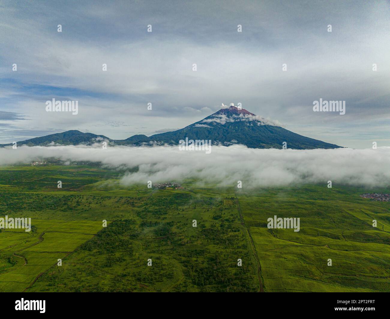 Aerial view of tea plantations on hillsides and Mount Kerinci. Tea ...