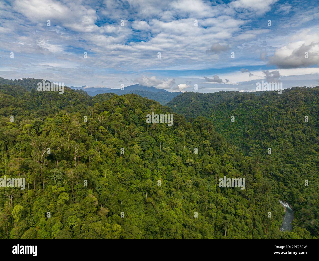 Aerial view of tropical forest in the mountains and jungle. Bukit ...