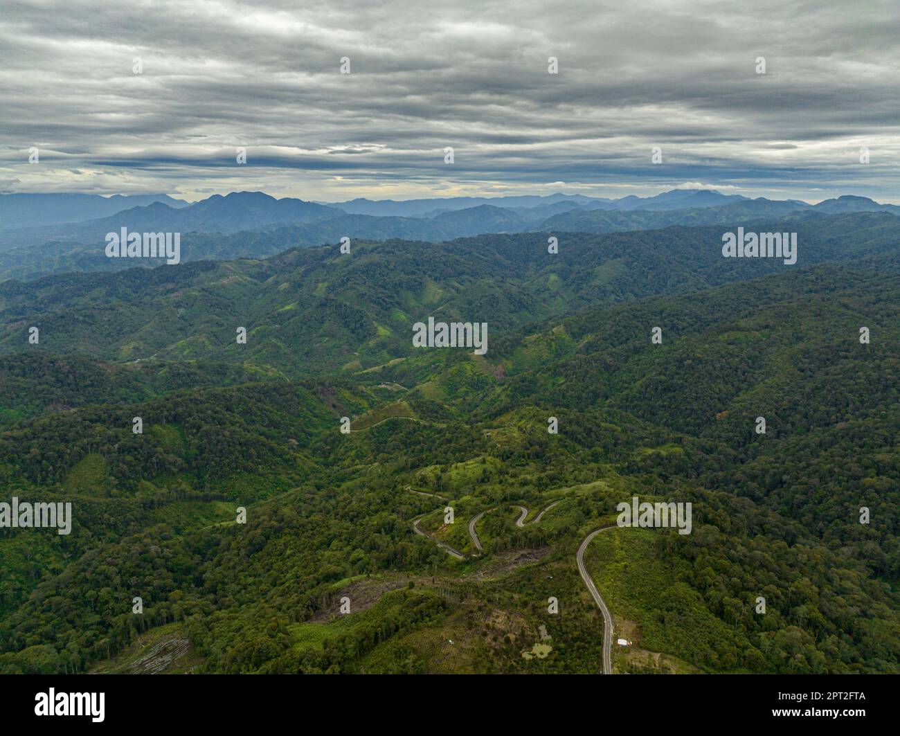 Aerial drone of mountains and hills with green forest and trees in the ...