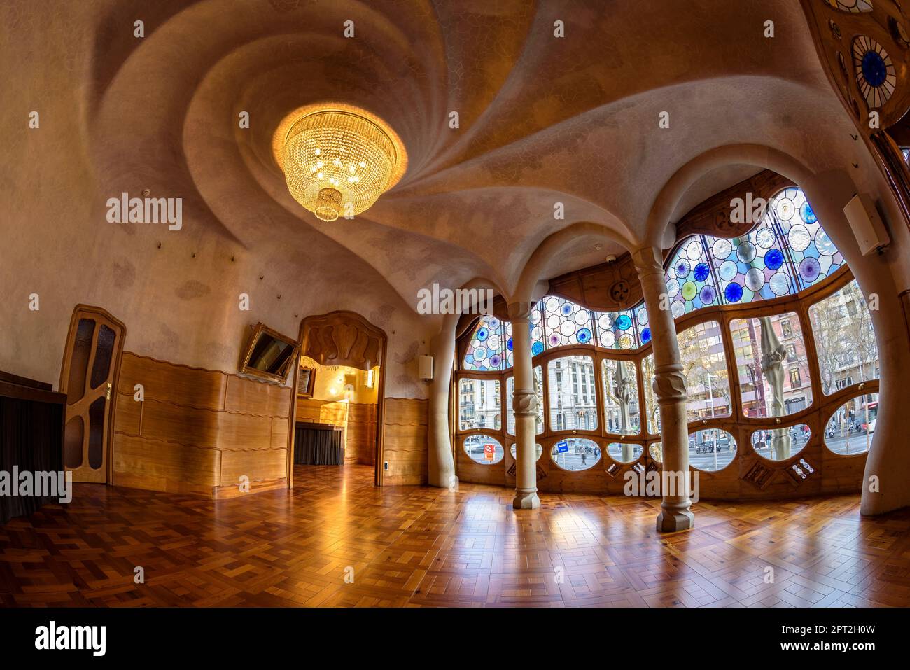 Ojo de pez europa hi-res stock photography and images - Alamy