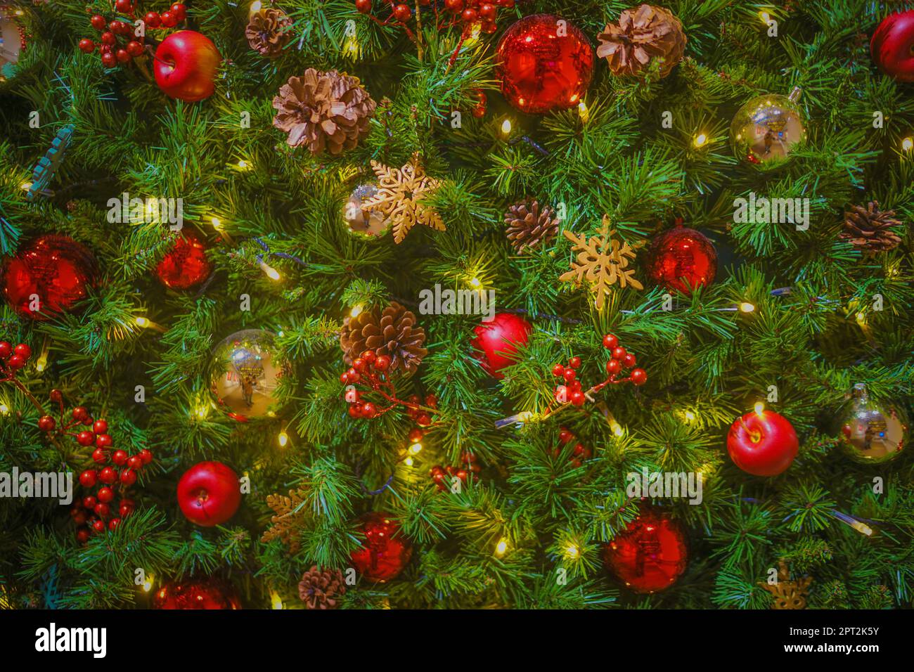 Mumble tree hi-res stock photography and images - Alamy